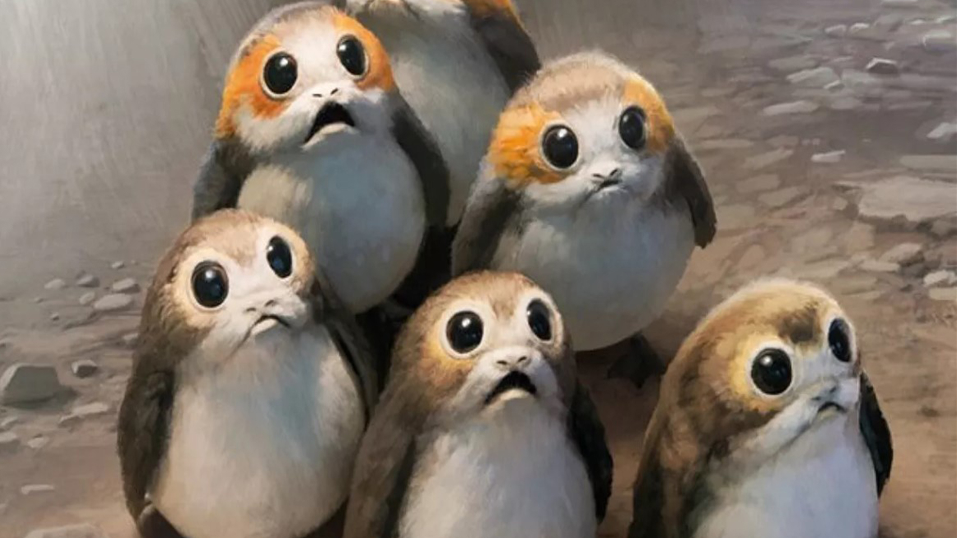 22 Porgs à adopter immédiatement | Spotern