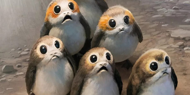 Star Wars : (re)Découvrez les espèces aliens les plus emblématiques de ...