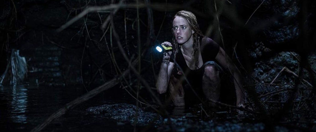 Get here all the looks from Crawl ! | Spotern