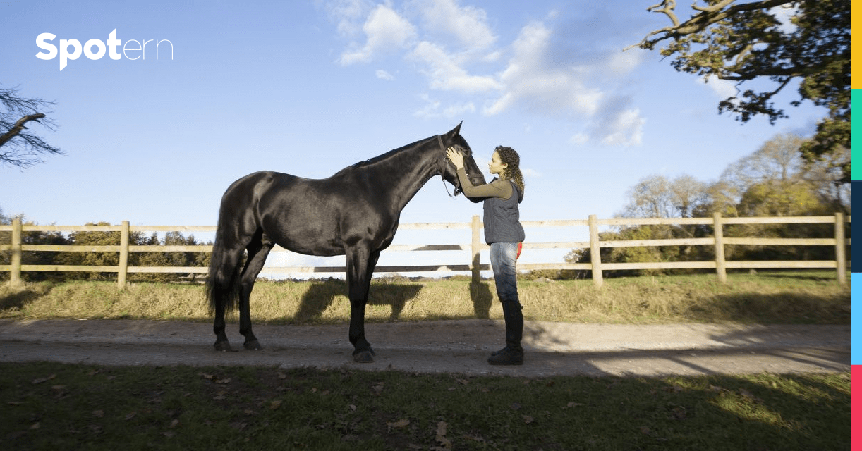 Free Rein: Clothes, Outfits, Brands, Style and Looks | Spotern