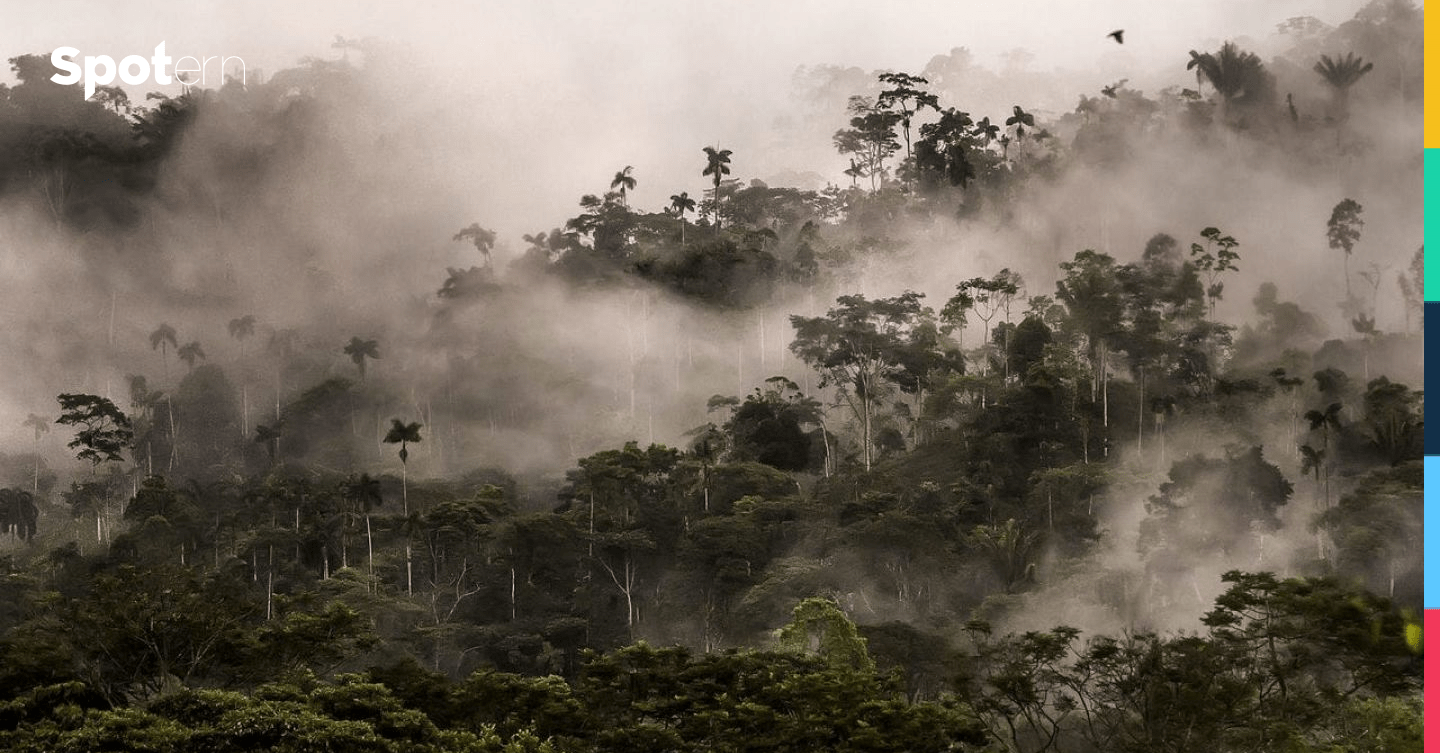 Triple Frontier: Clothes, Outfits, Brands, Style and Looks | Spotern