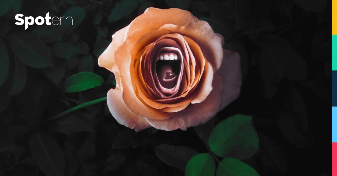 Rebecca Moss (played by Alison Brie) outfits on Roar