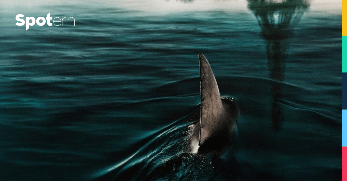 En las profundidades del Sena: Ropa, Moda, Marca, Look y Estilo | Spotern