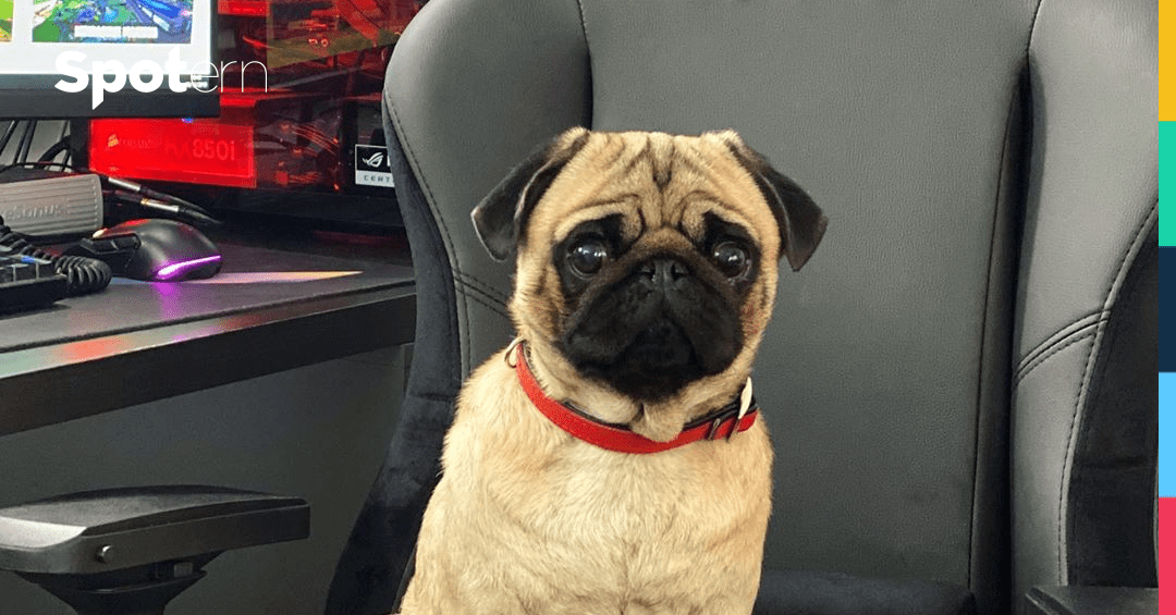 Instagram valouzz_: Clothes, Outfits, Brands, Style and Looks | Spotern