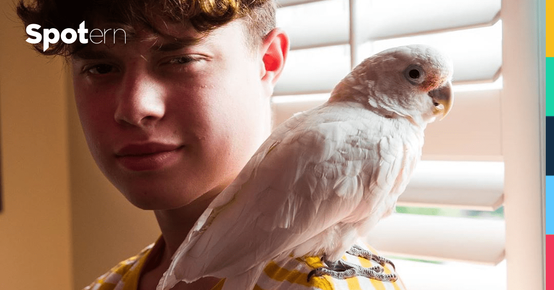 Instagram jakob_magnus: Clothes, Outfits, Brands, Style and Looks | Spotern