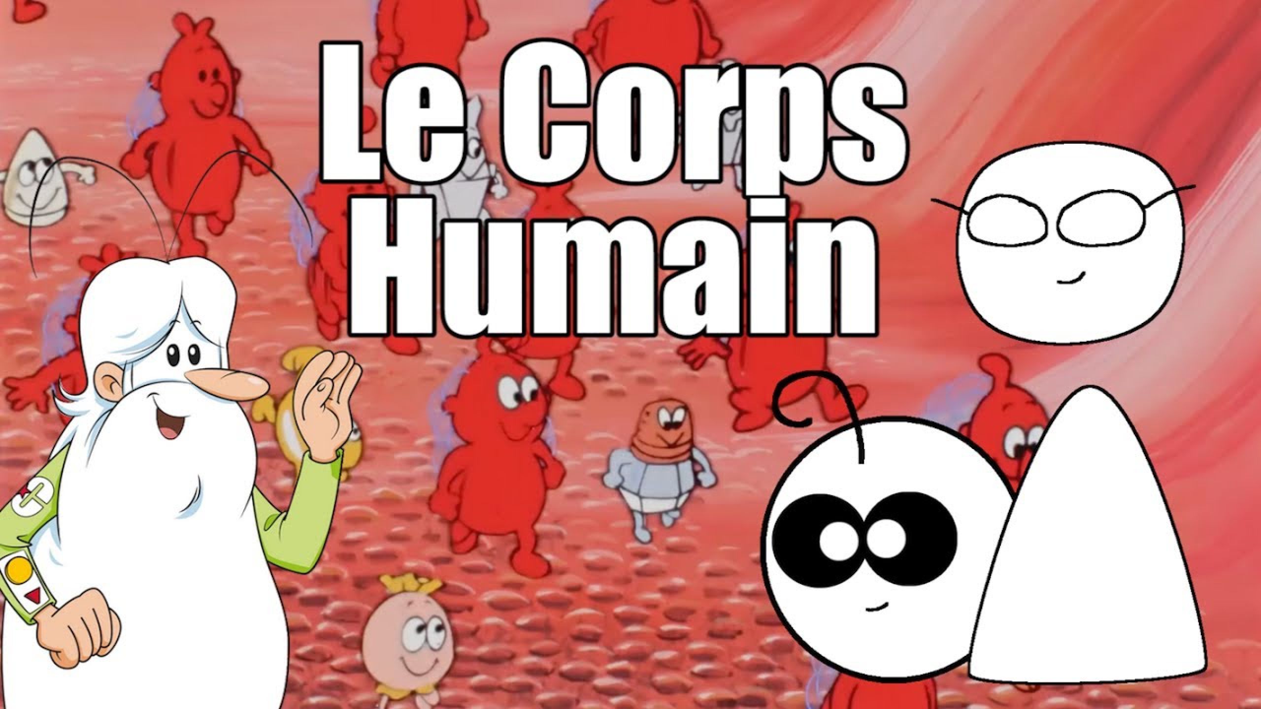 Point Culture : le Corps Humain: Clothes, Outfits, Brands, Style and ...