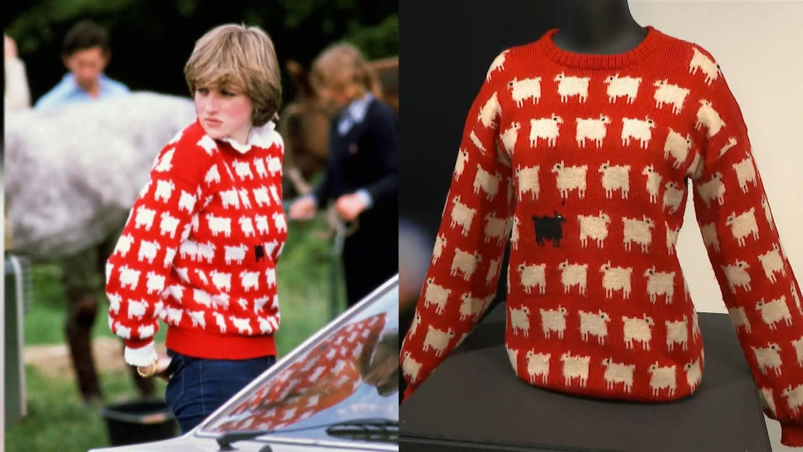 Princess Diana’s ‘Black Sheep’ Sweater Goes Up for Auction: Clothes ...
