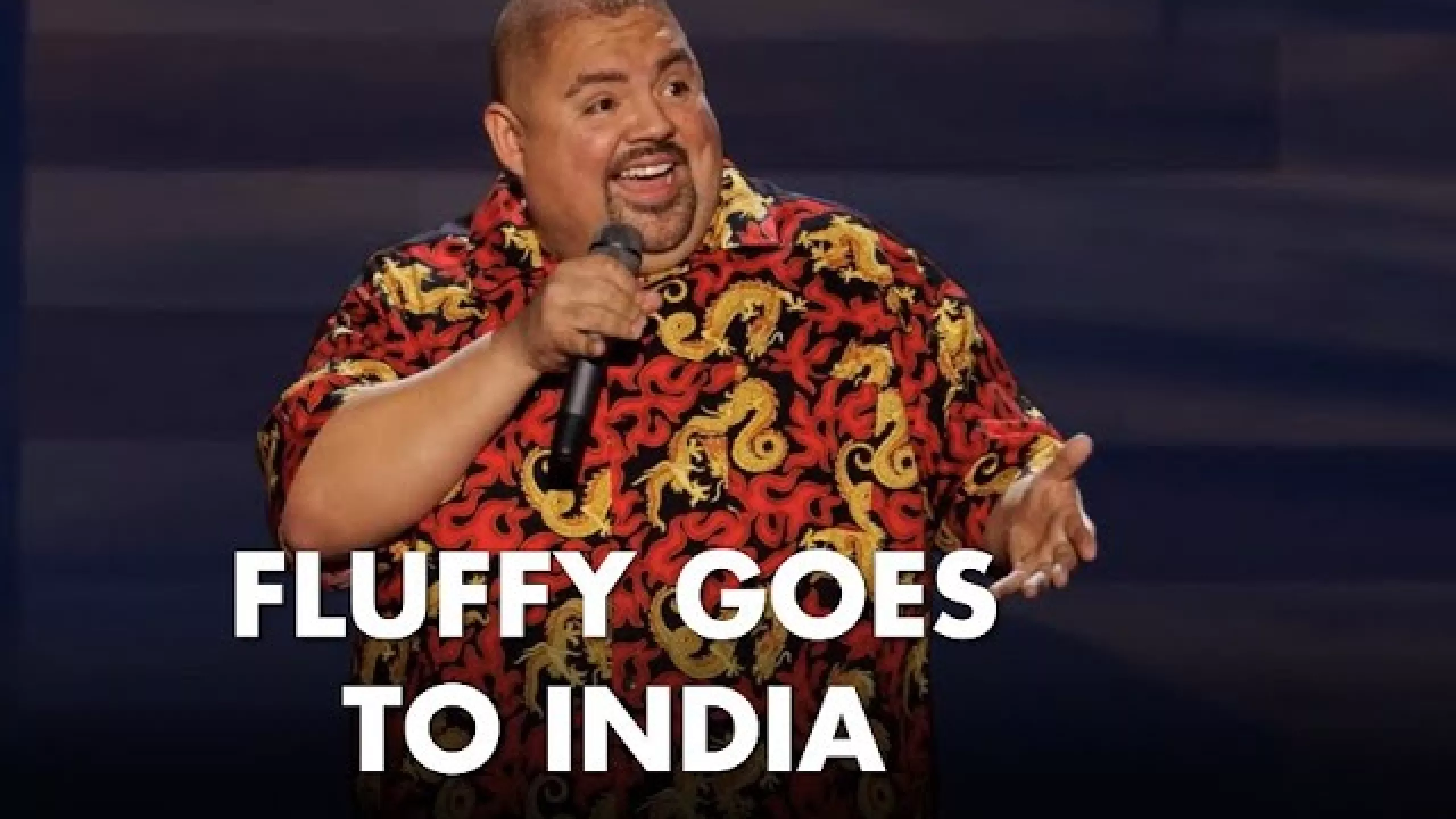 Fluffy Goes To India | Gabriel Iglesias: Clothes, Outfits, Brands ...
