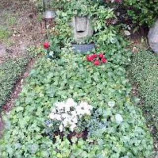 Günter Meisner: Clothes, Outfits, Brands, Style and Looks | Spotern