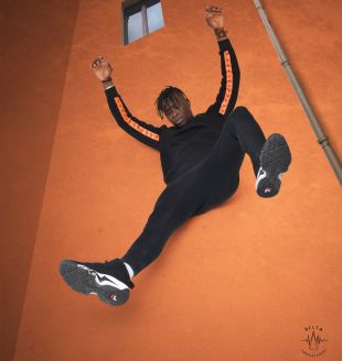 DC - Pull box logo BUTTERFLY Delta Comportement