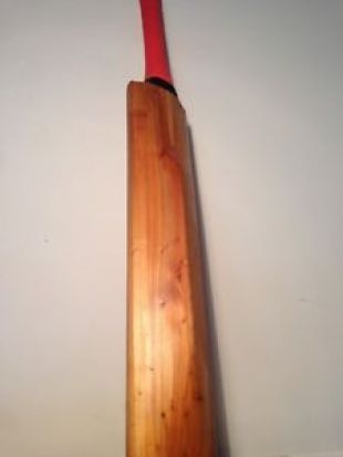 Stunning Old School Cricket Bat