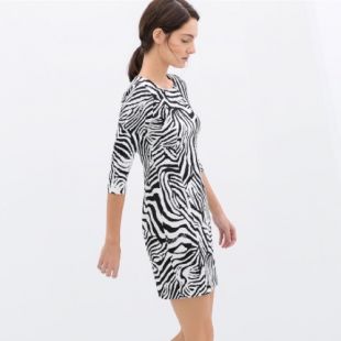 Zara - Zebra Print Dress