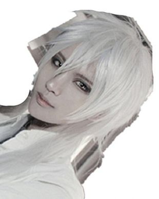 Mister Bear - Mister Bear Psycho-Pass Shogo Makishima Cosplay Costume Wig