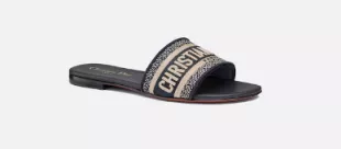 Christian Dior - Dway Slides