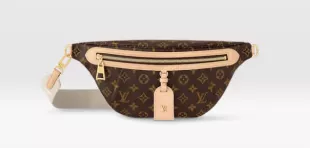 Louis Vuitton - High Rise Bag