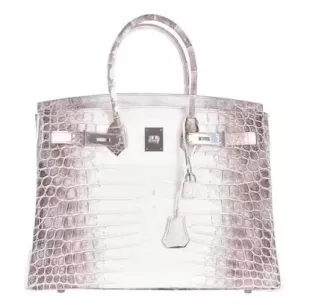Hermès - Himalayan Croc Birkin Bag