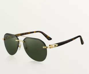 Cartier - C Decor Sunglasses