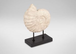 Small Shell on Stand | Decorative Objects