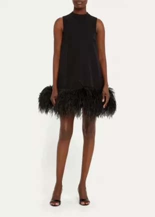 Rachel Gilbert - Linc Mini Dress With Feather Trim