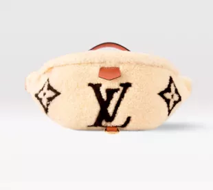Louis Vuitton - Bumbag