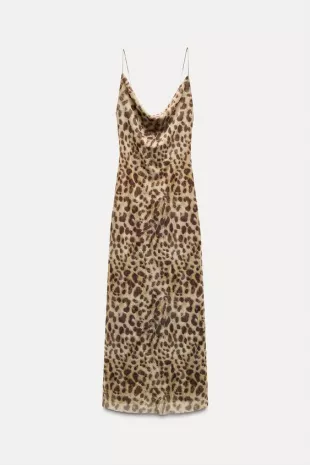 Zara - Printed Tulle Dress