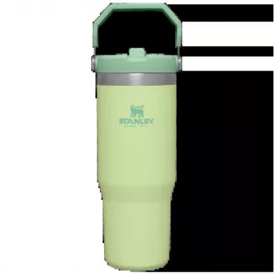 stanley - Classic Iceflow Flip Straw Tumbler