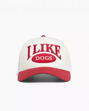 Diogie - I like dogs | 5-Panel Arc Hat
