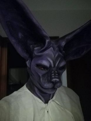 LordBailisMask - Masque Beerus