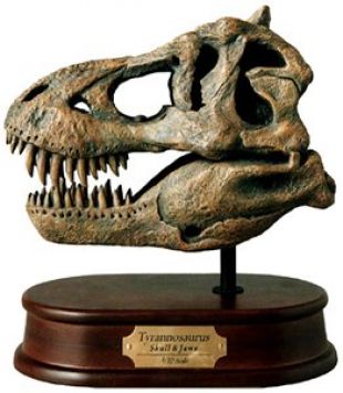 Dinostoreus - Tyrannosaurus Rex Skull Model 1/10 Scale