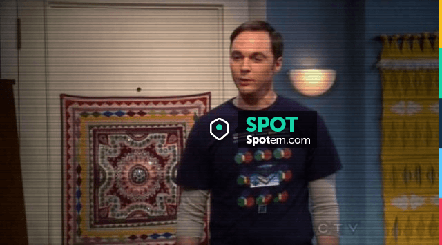 The t-shirt "Screen & Lenses" of Sheldon Cooper (Jim Parsons) in The ...