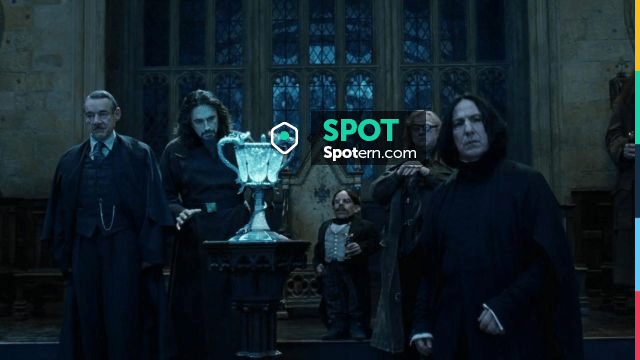 The replica of The cup to the triwizard tournament in Harry Potter and ...
