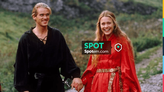The red dress of buttercup (Robin Wright) in the Princess Bride | Spotern