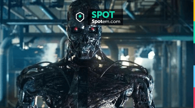 The replica of the head of the Terminator T-800 (Arnold Schwarzenegger ...
