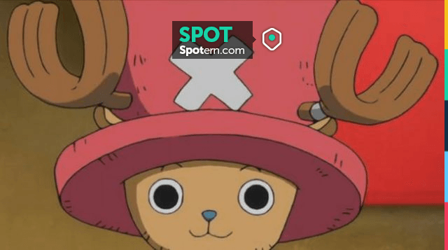 The hat of Chopper (Pre-training of 2 years) in One Piece | Spotern