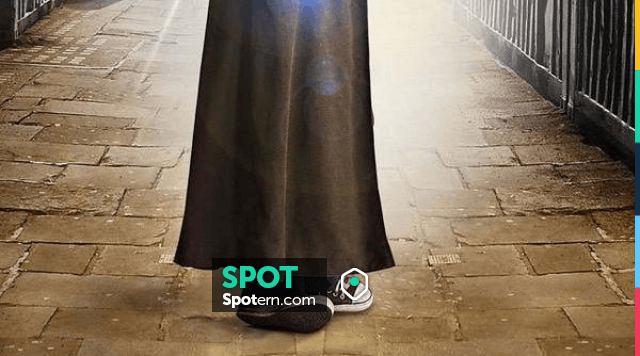 The converse of the 10th Doctor (David Tennant) in Doctor Who | Spotern