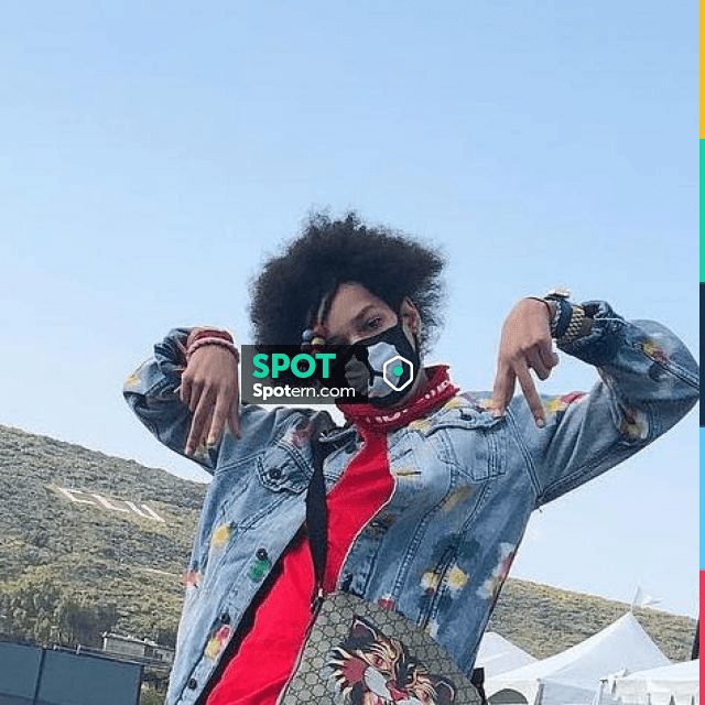 The mask Panda Ayo (Ayleo Bowles) on his account Instagram | Spotern