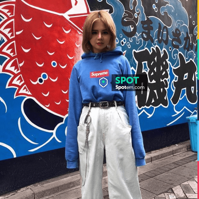 La sudadera con capucha Supreme que Feifei Fu usa en su publicación de ...