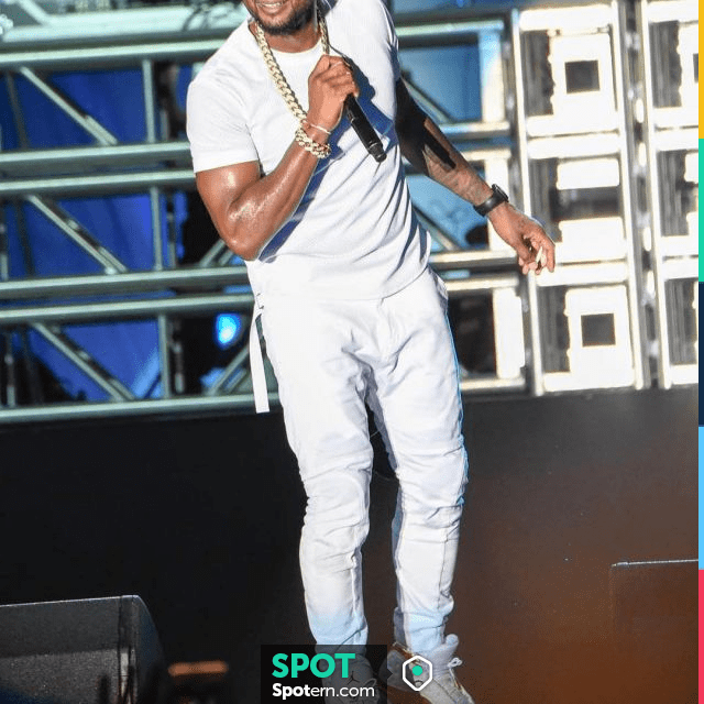 The pair of Nike Air Jordan 13 Retro "Defining Moments" worn by Usher ...