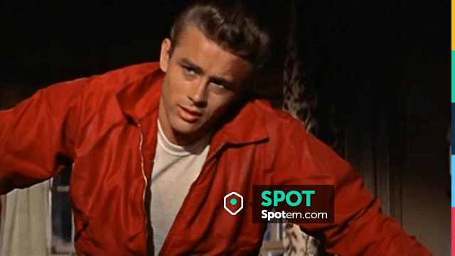 Red Jacket worn by Jim Stark (James Dean) as seen in Rebel Without A ...