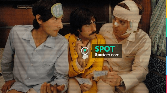 La lampe torche de Jason Schwartzman dans A bord du Darjeeling Limited ...