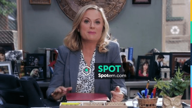 Theory Moha Top usado por Leslie Knope (Amy Poehler) en Parques y ...