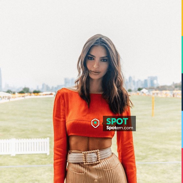 Red crop top worn by Emily Ratajkowski on her Instagram account @emrata ...