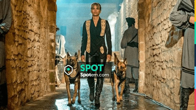 Dog Harness used by Sofia (Halle Berry) in John Wick: Chapter 3 ...