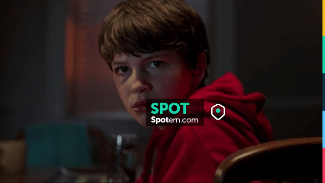 red hoodie worn by Andy Barclay (Gabriel Bateman) in Child's Play | Spotern