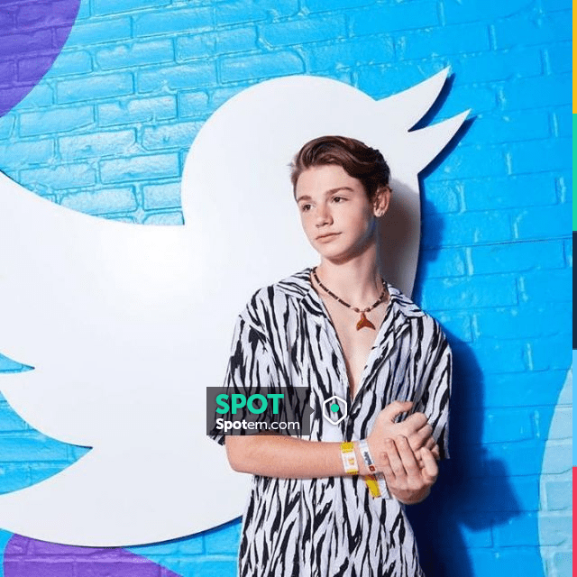 Zebra Shirt worn by Payton Moormeier TikTok worn by Payton Moormeier on ...