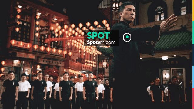 Kung Fu Martial Art Tai Chi Long Coat Robe worn by Ip Man (Donnie Yen ...