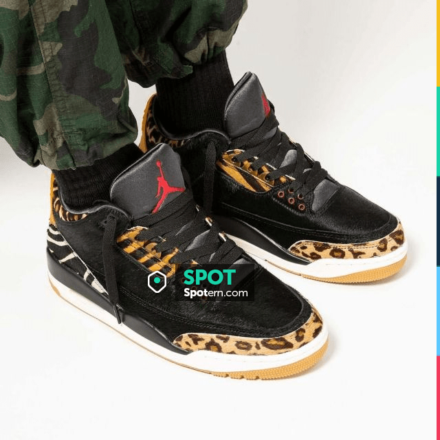 JORDAN PET on the account Instagram of @titoloshop | Spotern