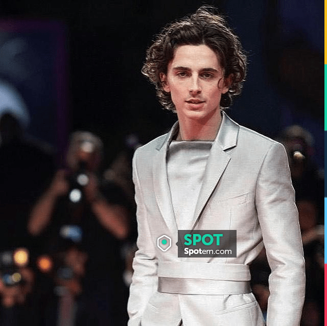 Haider ackermann grey blazer worn by Timothy chalamet on the account ...