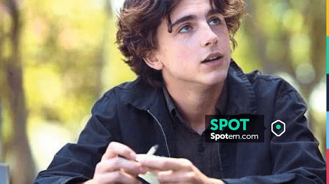 Navy collared jacket worn by Kyle Scheible (Timothée Chalamet) as seen ...