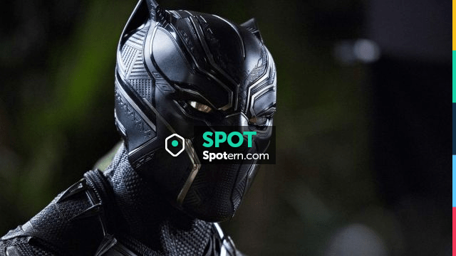The mask of T Challa / Black Panther (Chadwick Boseman) in Avengers ...